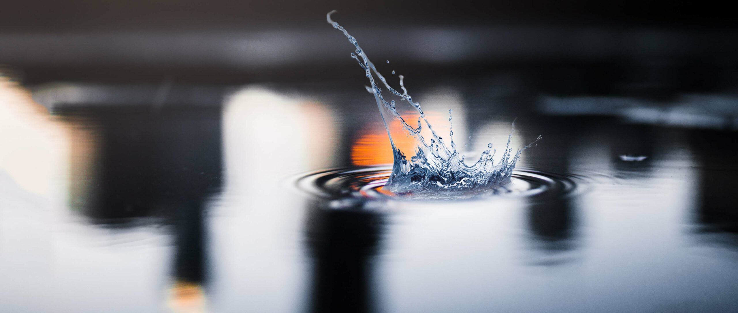 Benvenuti in ACADEMIA - Academia s.a.s.